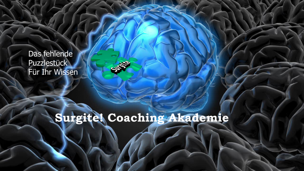 Konfliktlösung in der Projektarbeit Archive - Surgite!Coaching-Blog