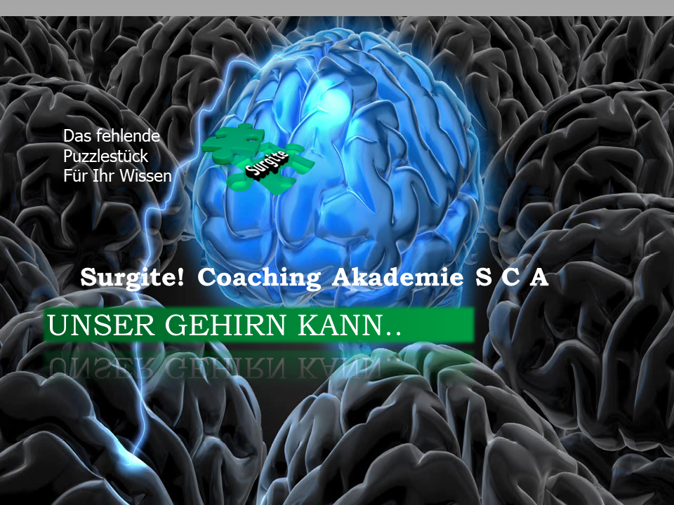 Unser Gehirn kann #1 – Problemlösung, Entscheidungen und Innovation ...